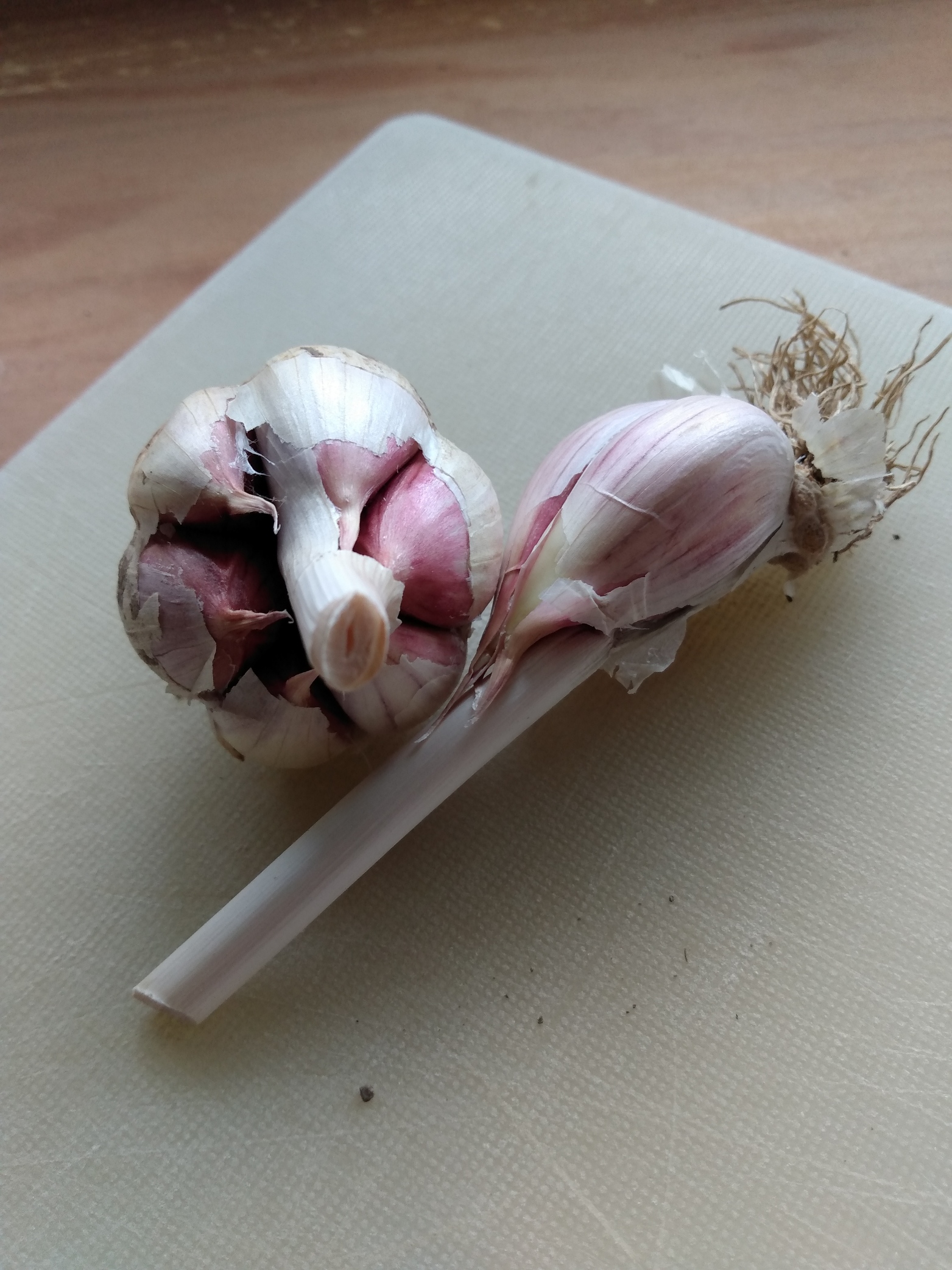 Garlic – Crowbourne Farm