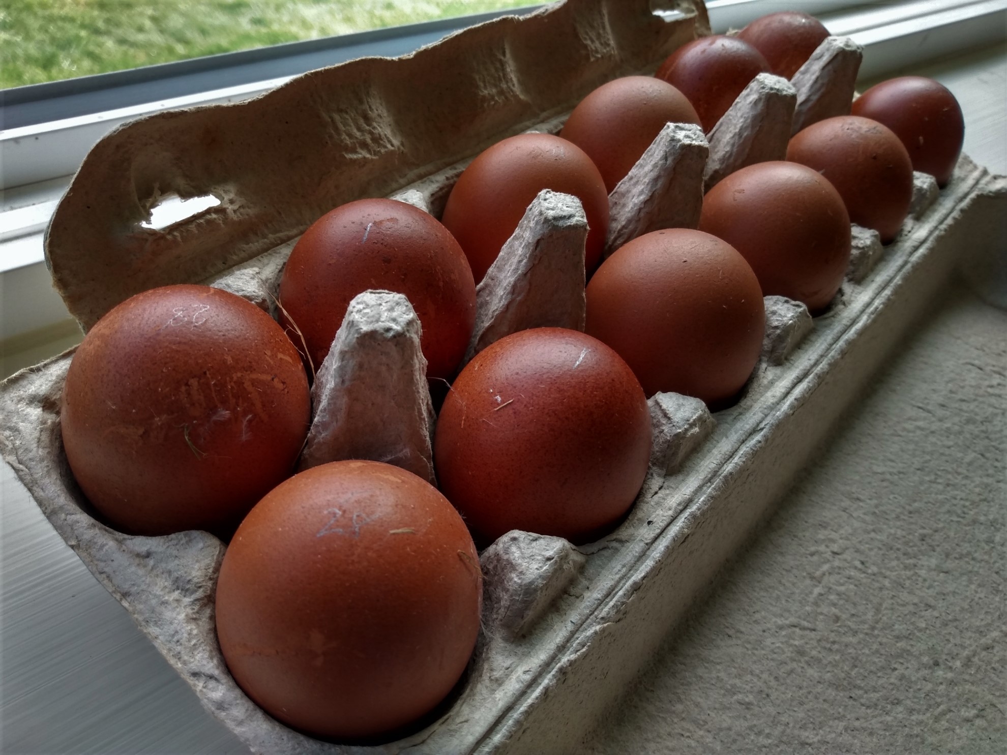 Heritage Poultry – Crowbourne Farm